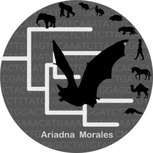 Ariadna Morales – CV and Research Interests